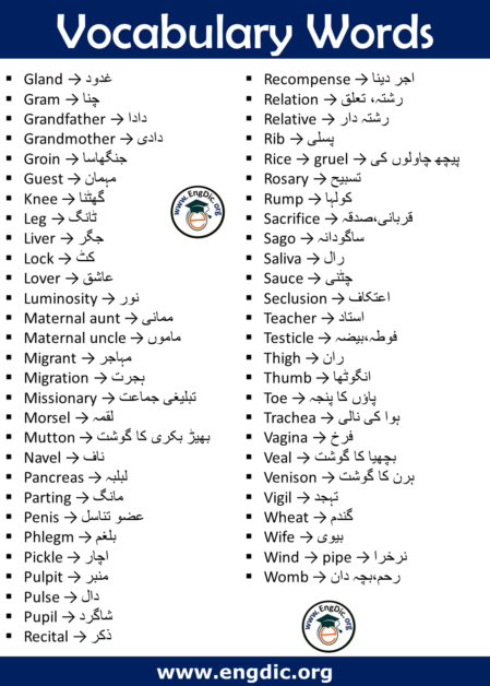 Vocabulary Words with Meaning in Urdu - Download PDF - EngDic