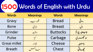 1000 Vocabulary Words with Urdu Meaning - Download PDF - EngDic