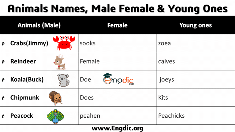Male and Female Names of Animals (Male, Female and Youngs) - EngDic