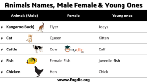 Male and Female Names of Animals (Male, Female and Youngs) - EngDic