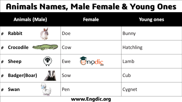 Male and Female Names of Animals (Male, Female and Youngs) - EngDic