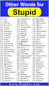 500+ Other Words for Stupid, Synonyms of Stupid - EngDic