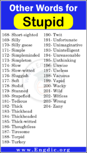 500+ Other Words for Stupid, Synonyms of Stupid - EngDic
