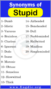 500+ Other Words for Stupid, Synonyms of Stupid - EngDic