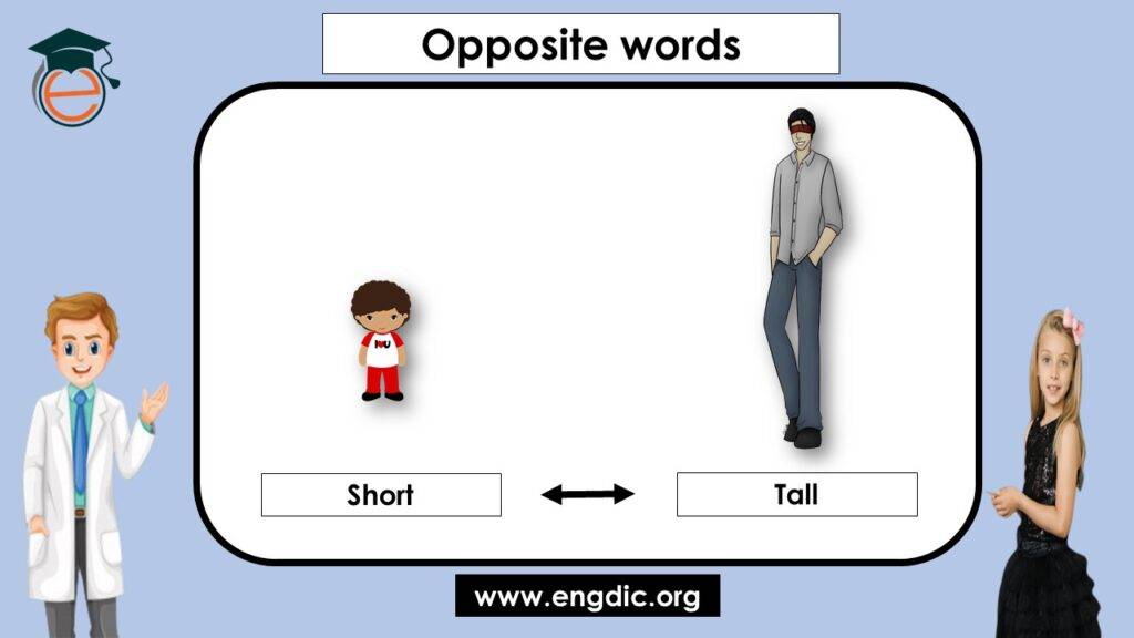 opposite examples Archives - Engdic