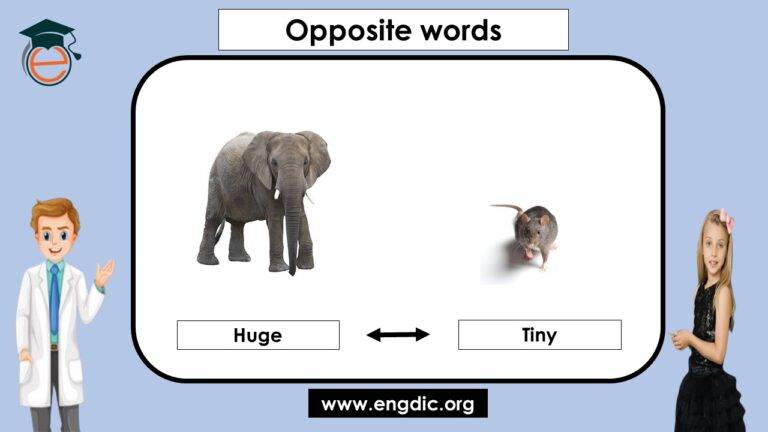 +1000 Antonyms for Kids with Pictures (Opposite Words) - EngDic