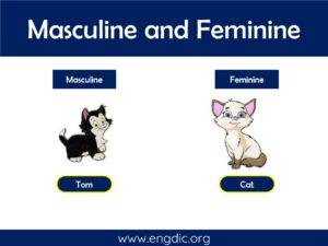 100 Examples of Masculine and Feminine Gender List - EngDic