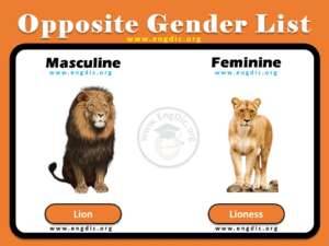A to Z Opposite Gender of Animals and Humans - EngDic