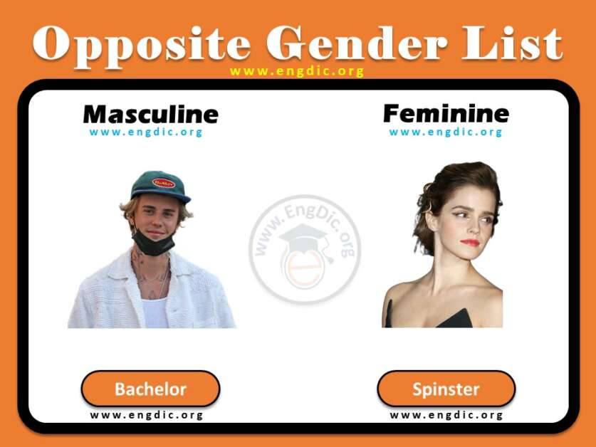 A to Z Opposite Gender of Animals and Humans - EngDic