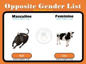 A to Z Opposite Gender of Animals and Humans - EngDic