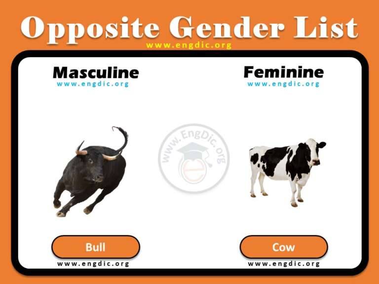 A to Z Opposite Gender of Animals and Humans - EngDic