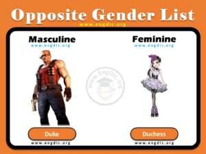 A to Z Opposite Gender of Animals and Humans - EngDic