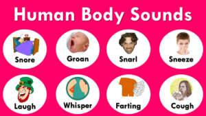 +1000 Antonyms for Kids with Pictures (Opposite Words) - EngDic