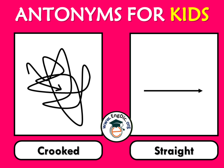 +1000 Antonyms for Kids with Pictures (Opposite Words) - EngDic