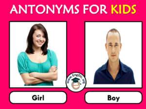 +1000 Antonyms for Kids with Pictures (Opposite Words) - EngDic