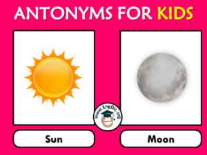 +1000 Antonyms for Kids with Pictures (Opposite Words) - EngDic