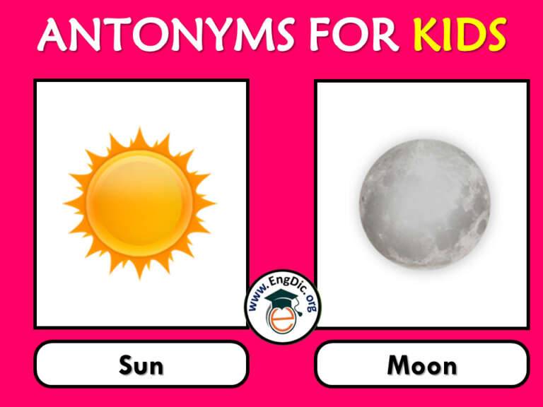 +1000 Antonyms for Kids with Pictures (Opposite Words) - EngDic
