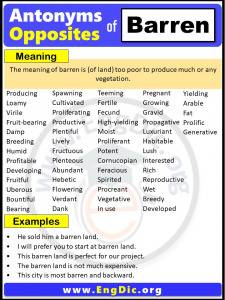 Opposite of you, Antonyms of you (Example Sentences) - EngDic