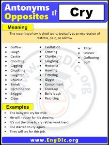 Opposite of Cry, Antonyms of Cry (Example Sentences) - EngDic