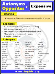 1000+ List Of Antonyms For Kids With Pictures And PDF - EngDic