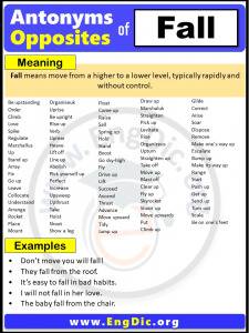 Opposite Of Less, Antonyms of Less (Example Sentences) - EngDic