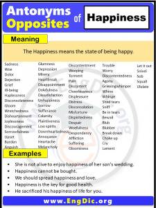 Opposite Of Knowledge, Antonyms of Knowledge (Example Sentences) - EngDic