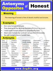Opposite of Smart, Antonyms of Smart (Example Sentences) - EngDic