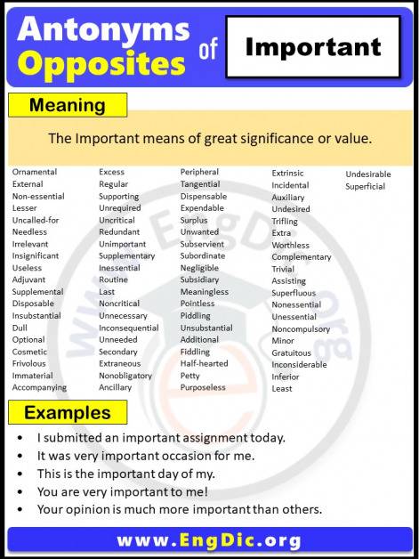 Opposite of Important, Antonyms of Important (Example Sentences) - EngDic