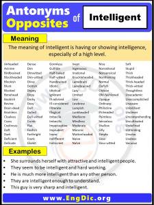 Opposite Of Increase, Antonyms of Increase (Example Sentences) - EngDic