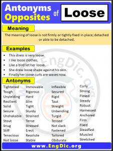 Opposite Of Abstract, Antonyms of Abstract (Example Sentences) - EngDic