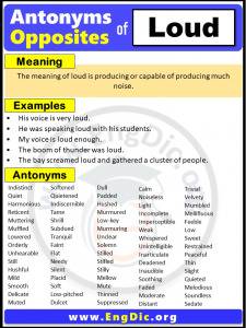 Opposite of lack, Antonyms of lack (Example Sentences) - EngDic