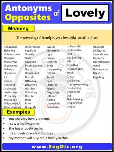 Opposite Of Against, Antonyms of Against (Example Sentences) - EngDic