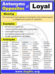 Opposite of Loose, Antonyms of Loose (Example Sentences) - EngDic