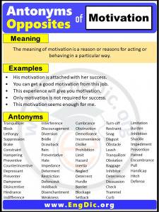 Opposite Of Failure, Antonyms of Failure (Example Sentences) - EngDic