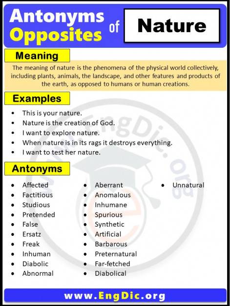 Opposite of Parallel, Antonyms of parallel (Example Sentences) - EngDic
