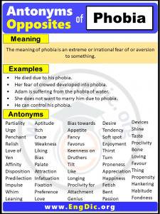 Opposite Of Confused, Antonyms of Confused (Example Sentences) - EngDic