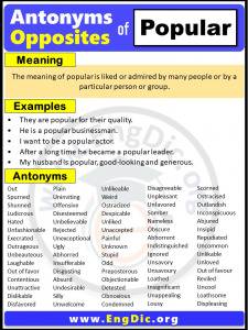 Opposite Of Less, Antonyms of Less (Example Sentences) - EngDic