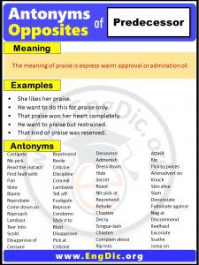 Opposite of pro, Antonyms of pro (Example Sentences) - EngDic