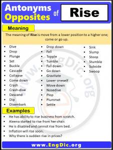 Opposite Of Allow, Antonyms of Allow (Example Sentences) - EngDic