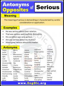Opposite of Serious, Antonyms of serious (Example Sentences) - EngDic