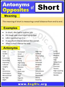 Opposite of Seldom, Antonyms of Seldom (Example Sentences) - EngDic