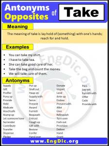 Opposite of Sensitive, Antonyms of Sensitive (Example Sentences) - EngDic