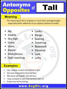 Opposite of Heavy, Antonyms of Heavy (Example Sentences) - EngDic