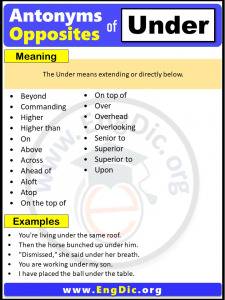 Opposite Of Knowledge, Antonyms of Knowledge (Example Sentences) - EngDic