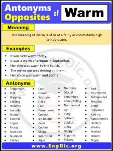 Opposite Of Allow, Antonyms of Allow (Example Sentences) - EngDic