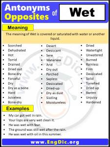 Opposite Of Destination, Antonyms of Destination (Example Sentences ...