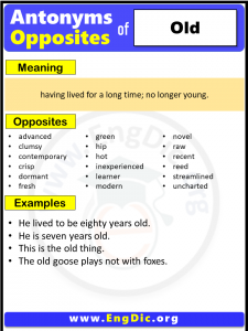 Opposite of Retrospective, Antonyms of Retrospective (Example Sentences ...