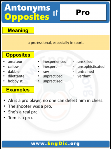 Opposite Of Pro, Antonyms of Pro, Meaning and Example Sentences - EngDic
