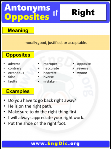 Opposite of Important, Antonyms of Important (Example Sentences) - EngDic