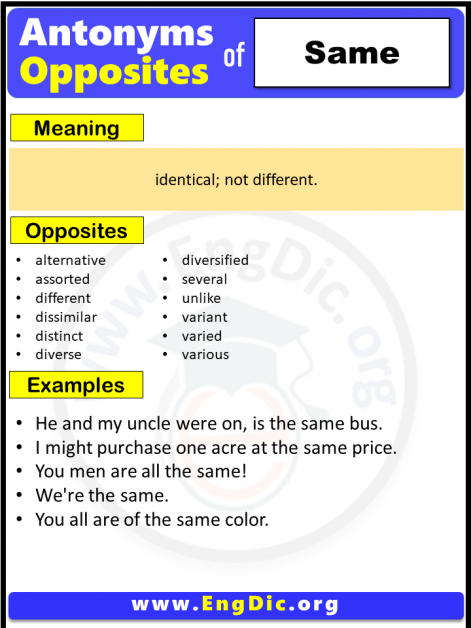 Opposite Of Subsequent, Antonyms of Subsequent (Example Sentences) - EngDic